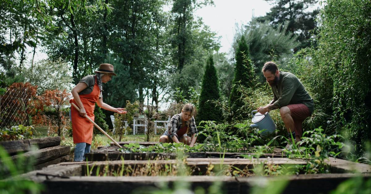 How to Start a Community Garden