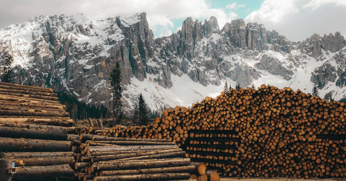 How to Start a Lumber Yard