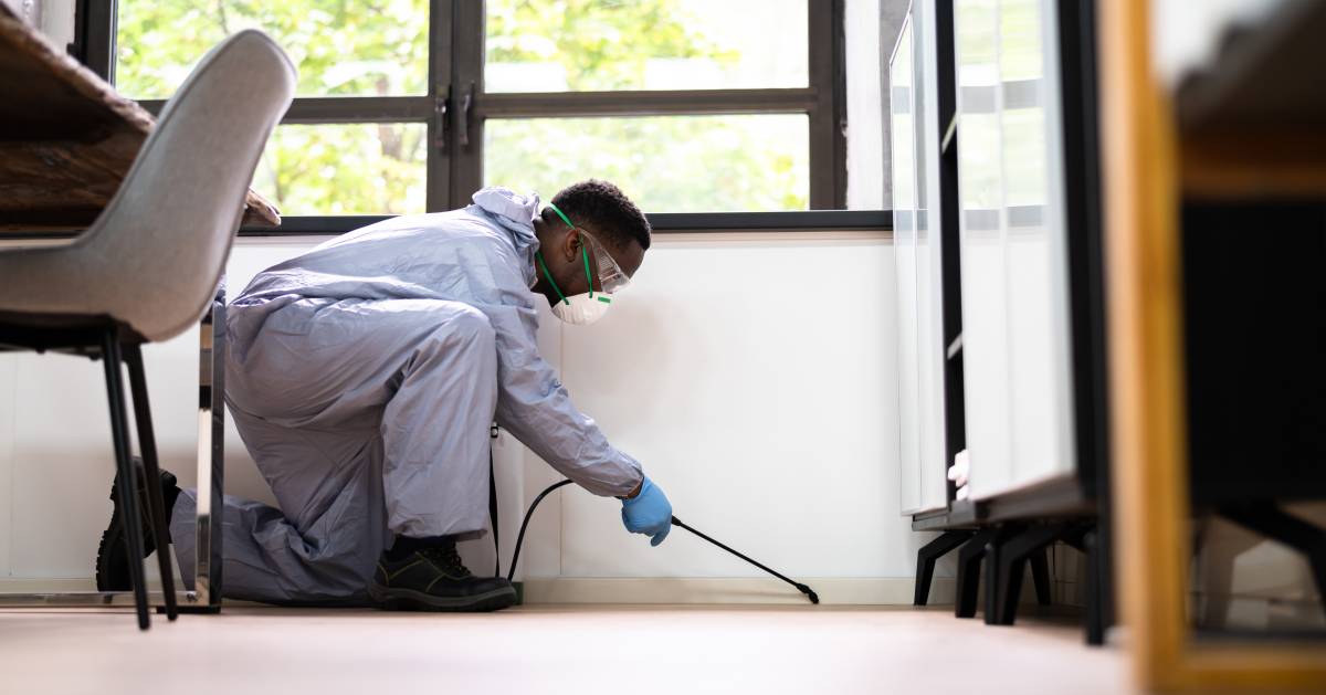 How to Start a Pest Control Service