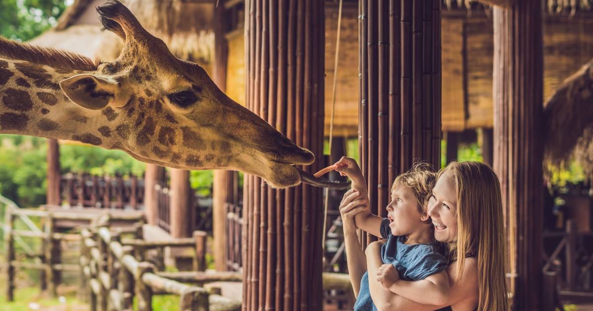 How to Start a Zoo Business